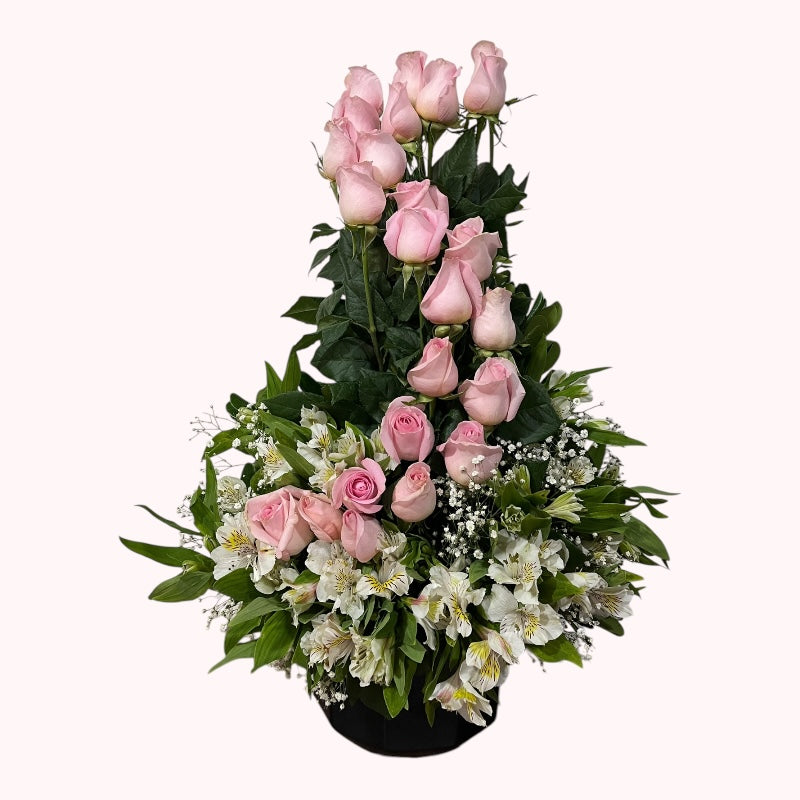 Roselia – Roses & Flowers