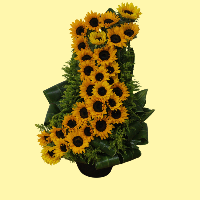 Flor del Sol – Roses & Flowers